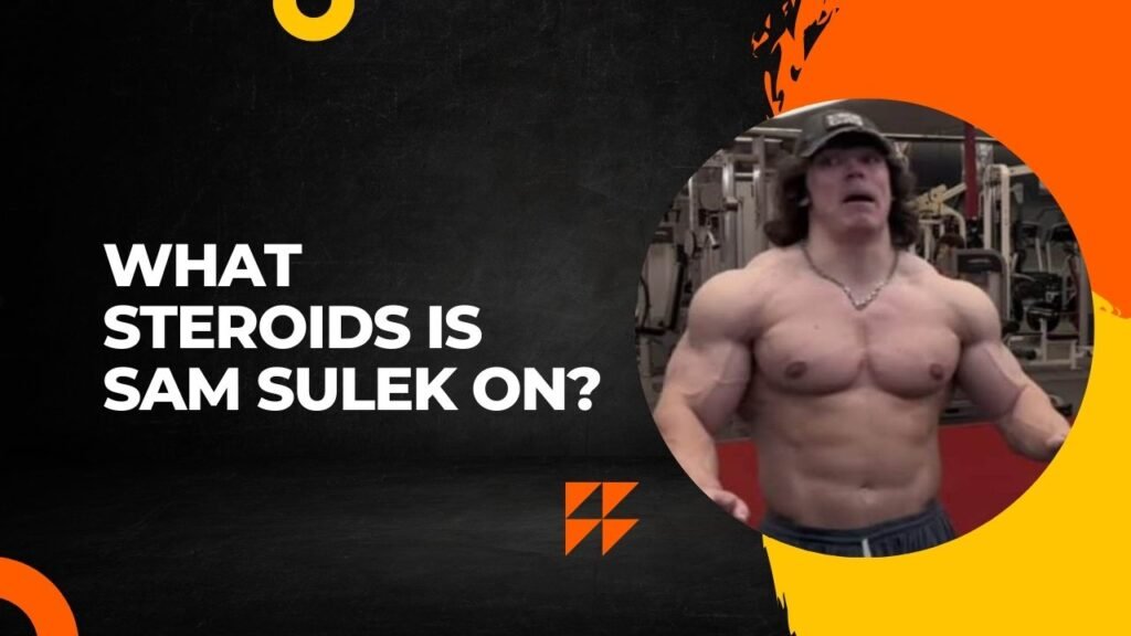 What Steroids Is Sam Sulek On? Unpacking the Speculation ...